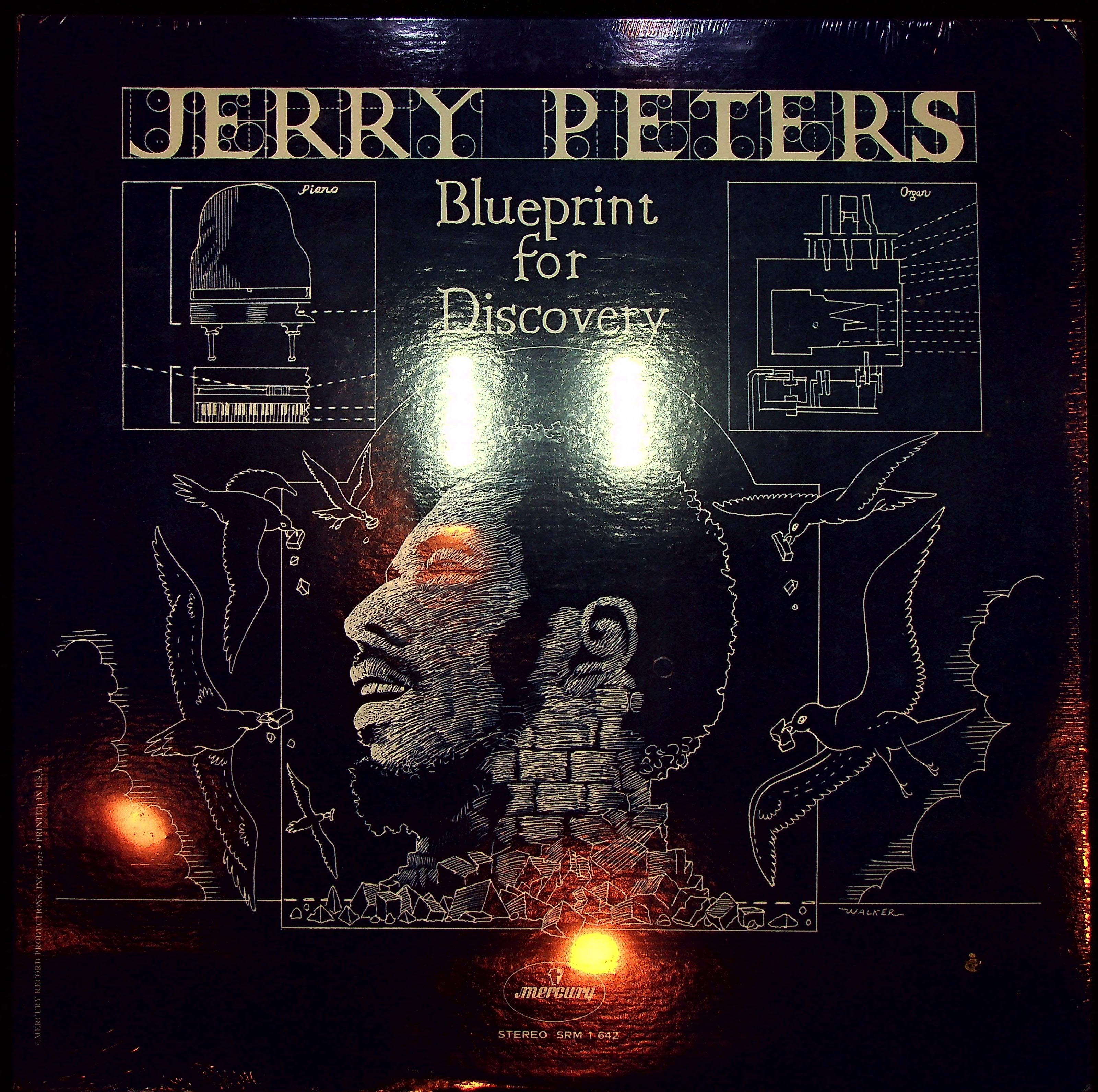 LP-Jerry Peters-Blueprint for Discovery | Big House Guitars